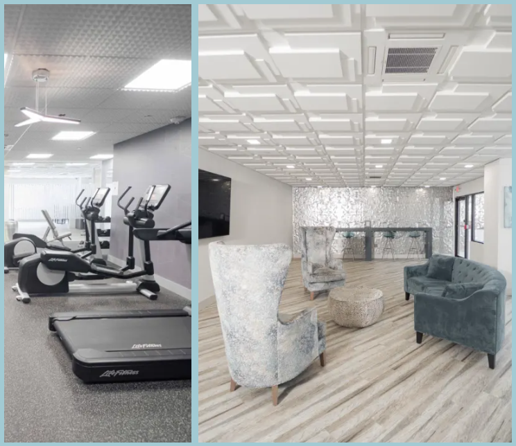 Element 250 – In the Heart of It All in Hartford